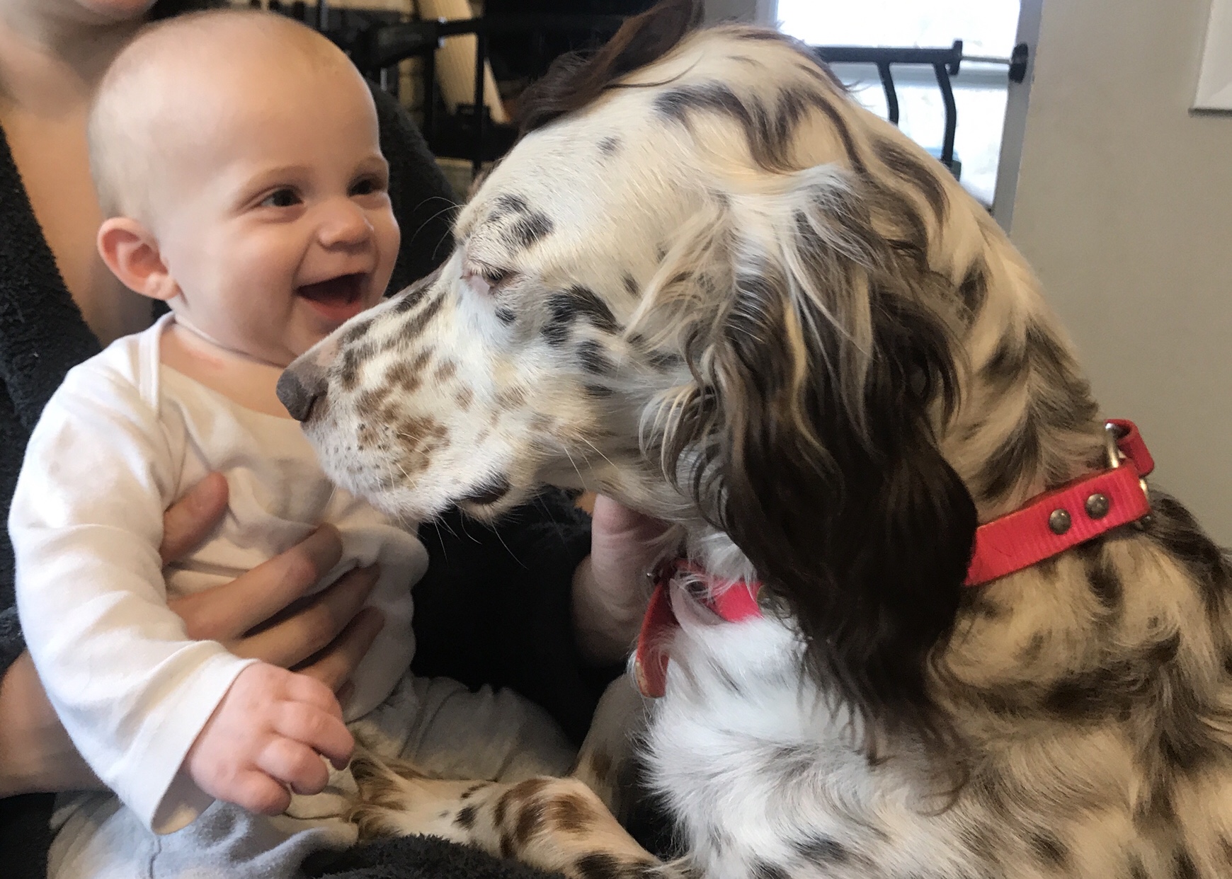 Smiles at PRL – PAINT RIVER SETTERS