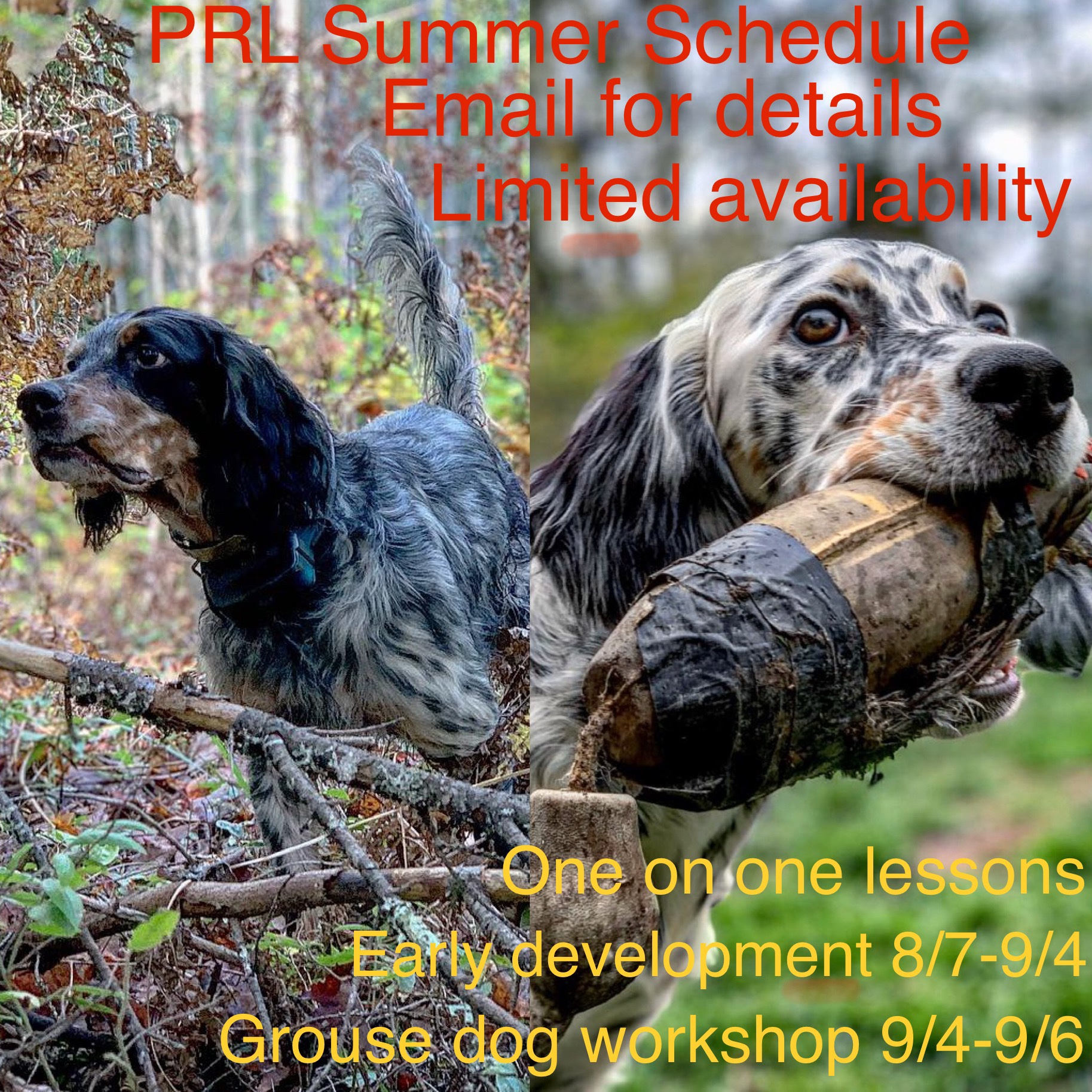 PRL SUMMER SCHEDULE – PAINT RIVER SETTERS