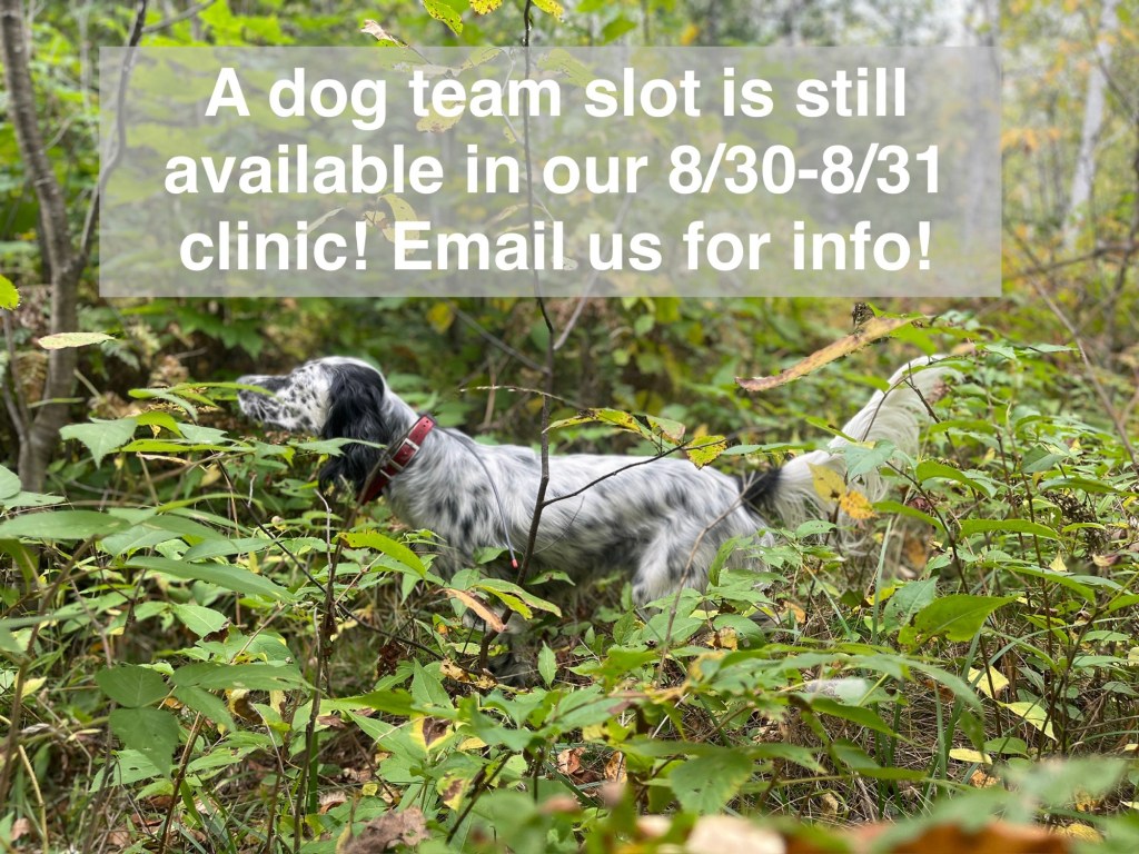 Dog team opening in added clinic – PAINT RIVER SETTERS